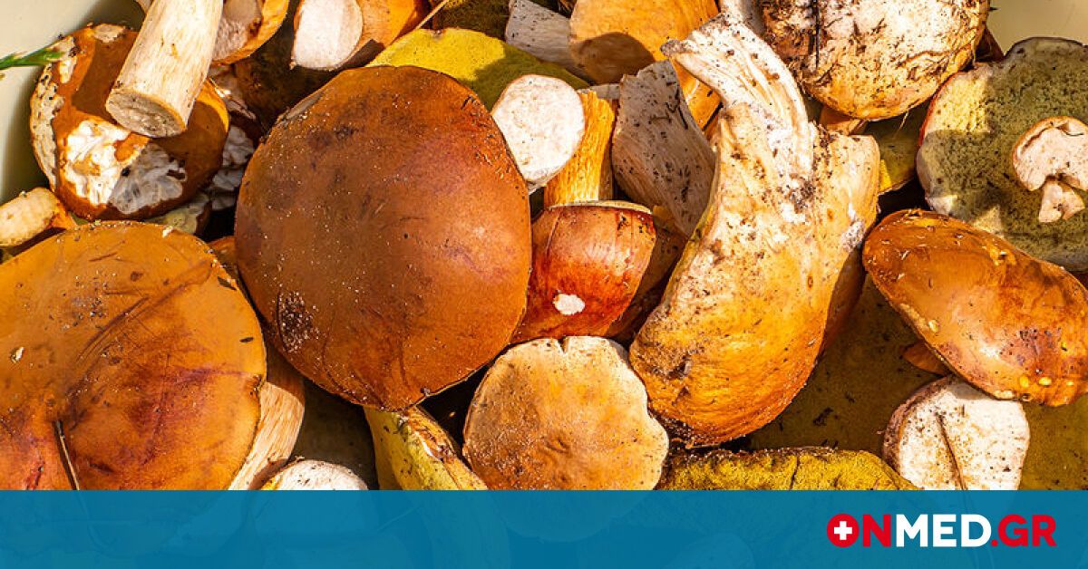 Μανιτάρια: Γιατί αποτελούν την κορυφαία αντιγηραντική τροφή