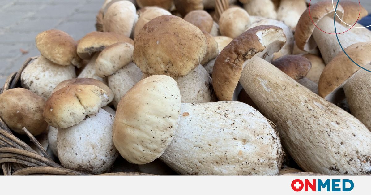 Τα αντικαρκινικά οφέλη των μανιταριών