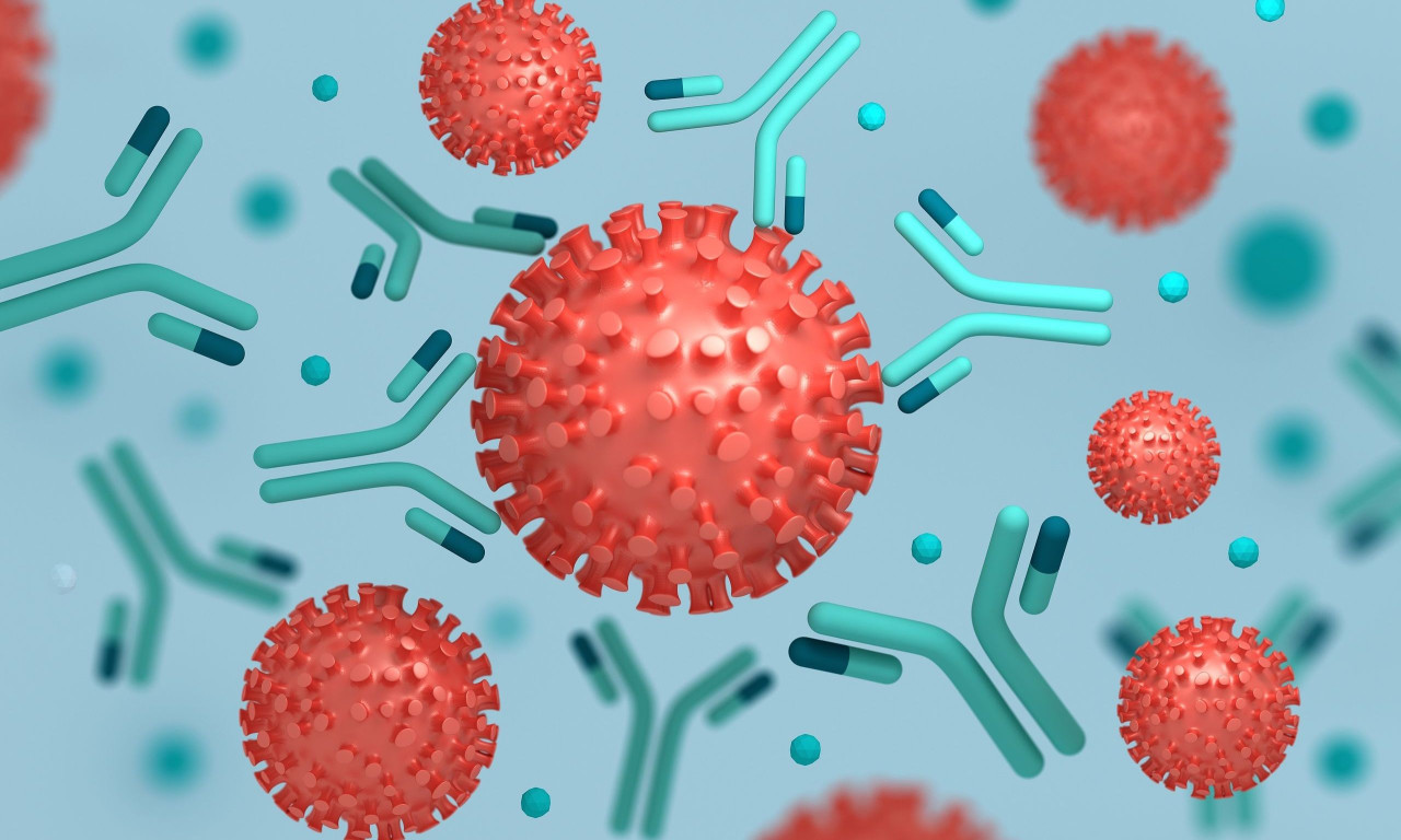 CDC: Η πλειονότητα των Αμερικανών έχουν αντισώματα έναντι του κορονοϊού ...