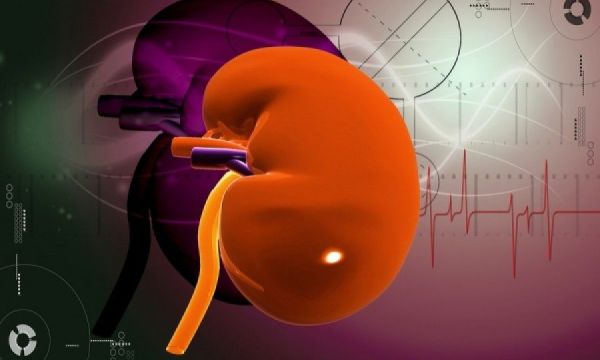 ΝΕΦΡΙΚΗ ΑΝΕΠΑΡΚΕΙΑ ΕΝΔΕΙΞΕΙΣ