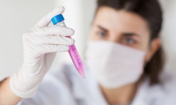 ΑΙΜΟΠΟΙΗΤΙΚΑ ΒΛΑΣΤΙΚΑ ΚΥΤΤΑΡΑ