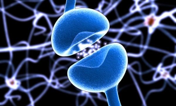 ΠΟΛΛΑΠΛΗ ΣΚΛΗΡΥΝΣΗ ΘΕΡΑΠΕΙΕΣ