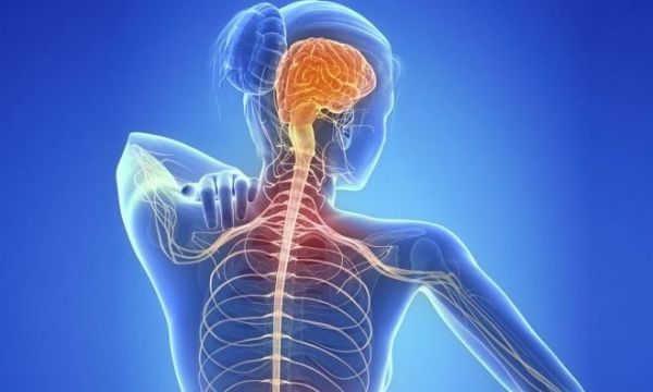 ΠΟΛΛΑΠΛΗ ΣΚΛΗΡΥΝΣΗ ΚΡΕΑΣ