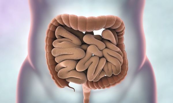 ΜΙΚΡΟΒΙΩΜΑ ΕΝΤΕΡΟΥ ΚΑΙ ΥΓΕΙΑ